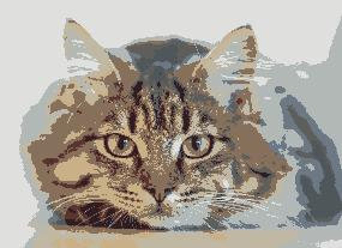 Cat Crochet Graphghan Photoghan PATTERN Only - Etsy