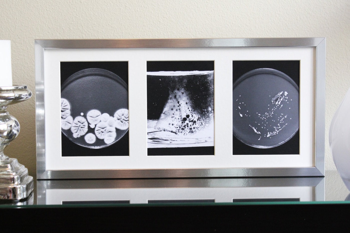 Science Art, Triple Print, Vintage, Unique Gift, Geek Art, Microscopic ...