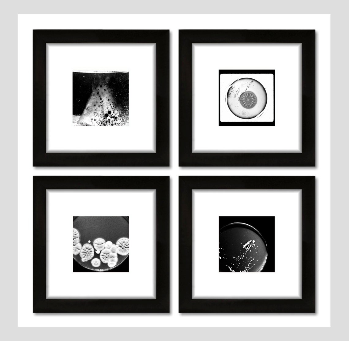 Science Art, Black and White, Square Frame, Vintage, Unique Gift, Geek ...