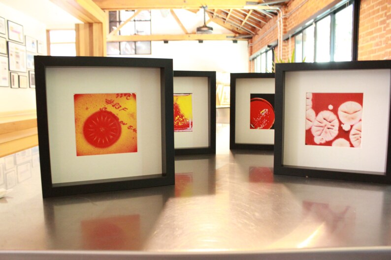 Square Frame, Science Art, Red, Vintage, Unique Gift, Geek, Microscopic ...