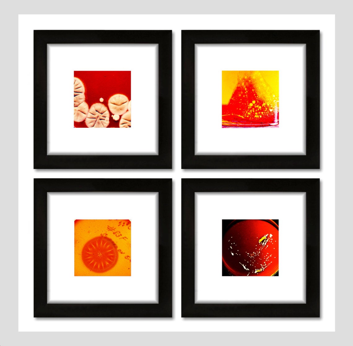 Square Frame, Science Art, Red, Vintage, Unique Gift, Geek, Microscopic ...