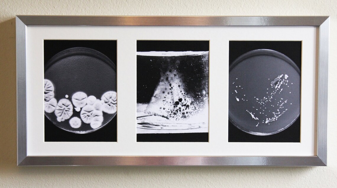 Science Art, Triple Print, Vintage, Unique Gift, Geek Art, Microscopic ...