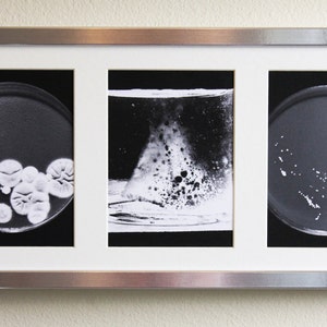 Science Art, Triple Print, Vintage, Unique Gift, Geek Art, Microscopic ...