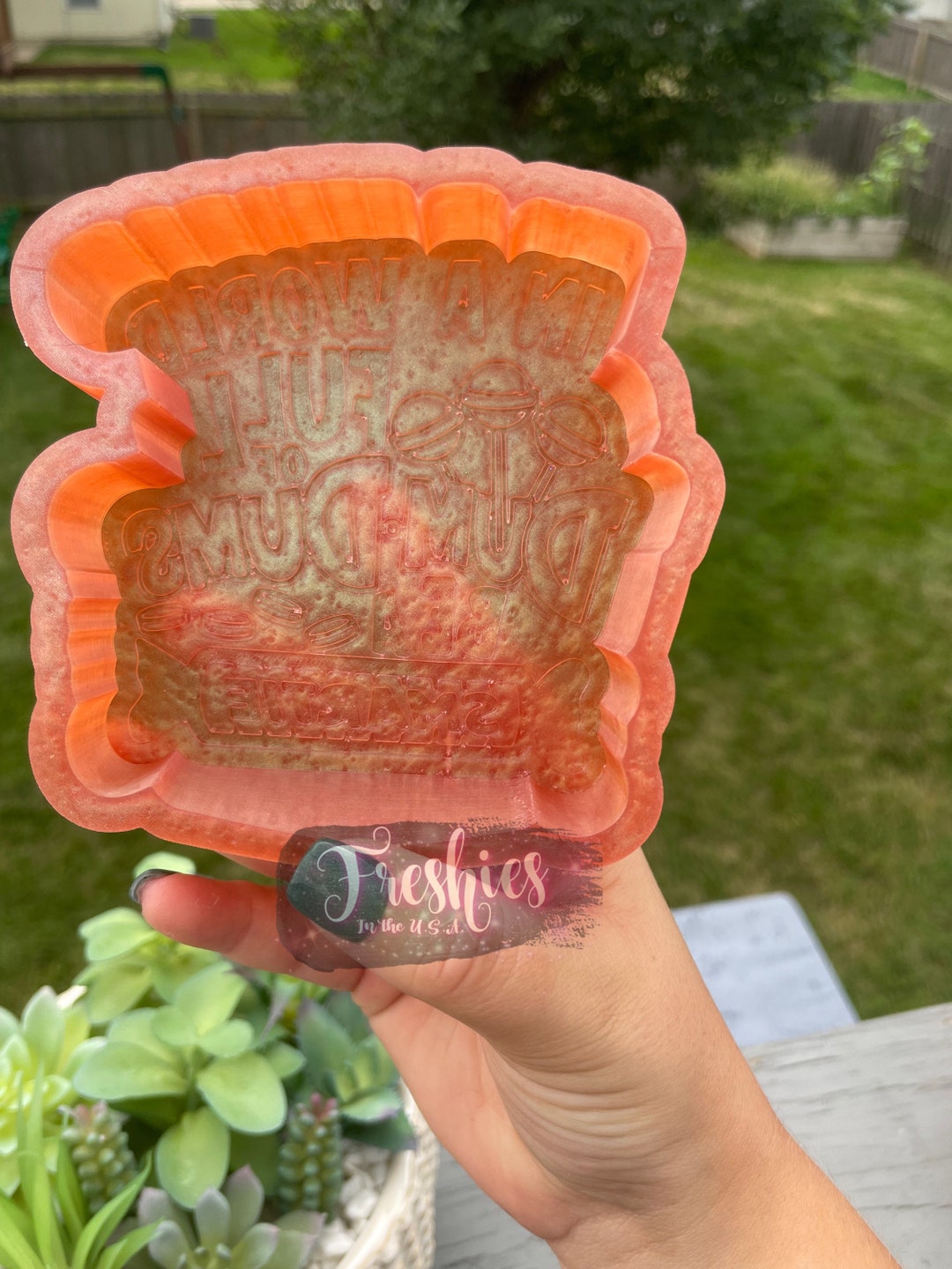 In a World Full of Dum-dums Be a Smartie Silicone Car Freshie Mold - Etsy