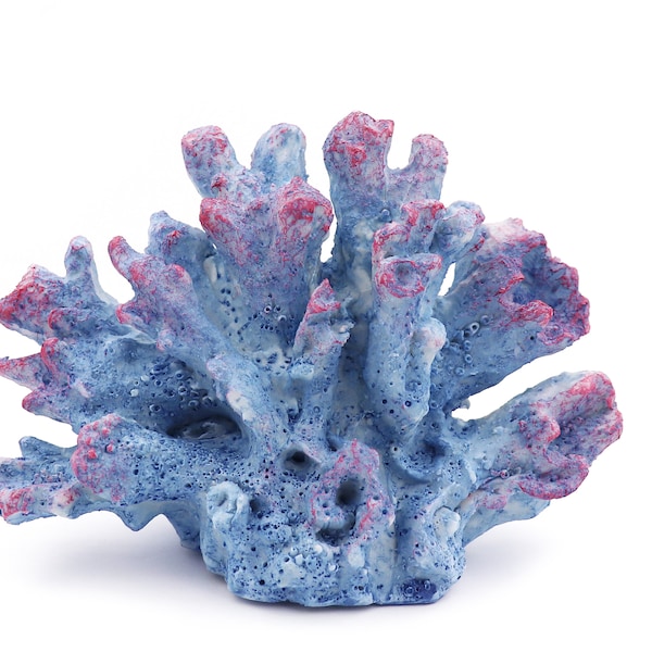 Fish Tank Decor - Etsy