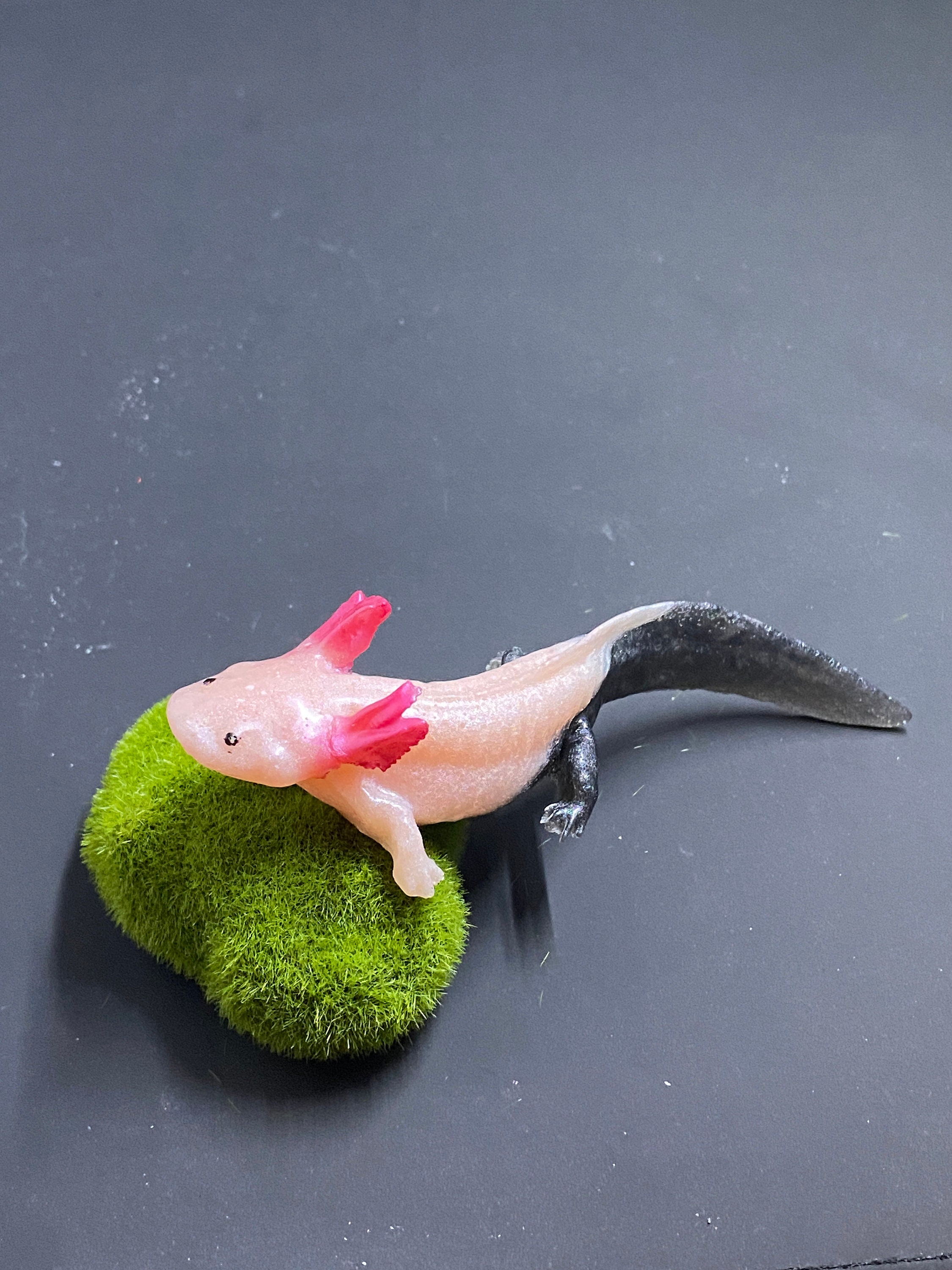 Axolotl Statues, Epoxy Resin - Etsy