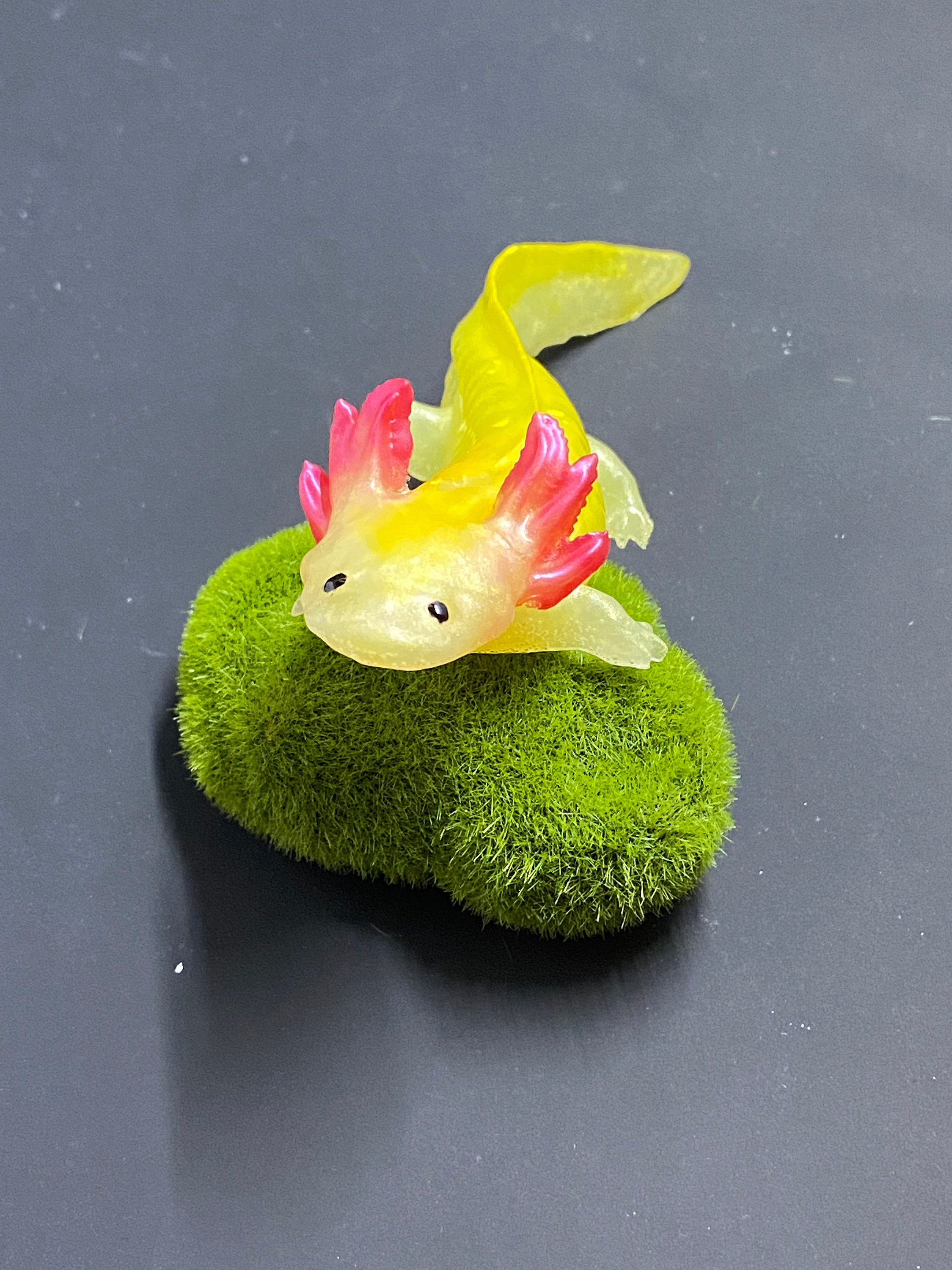 Axolotl Statues, Epoxy Resin - Etsy
