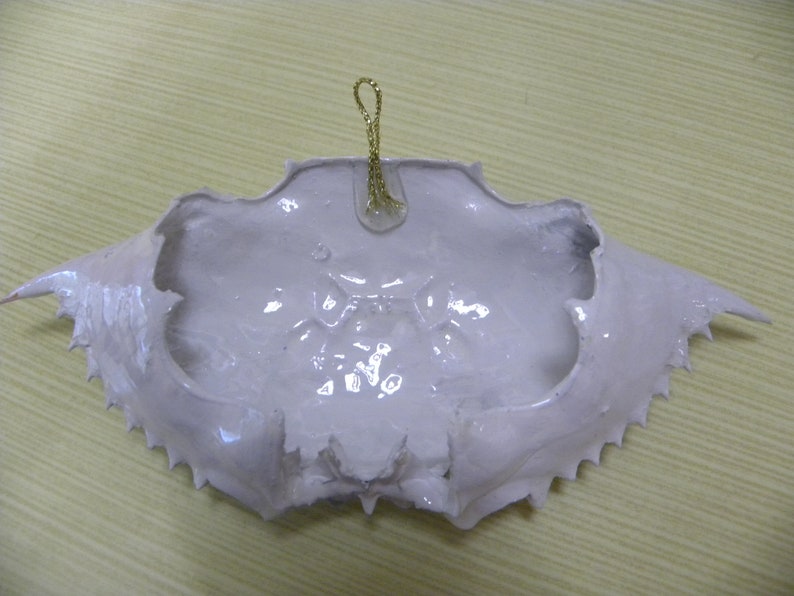 Natty Boh & Lady Utz Their Wedding Painted on Crab Shell. - Etsy