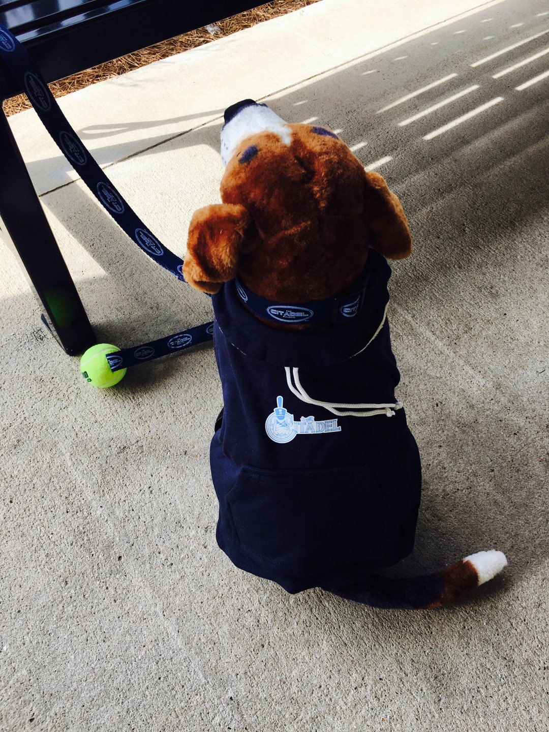 Citadel Dog Hoodie Coat - Etsy