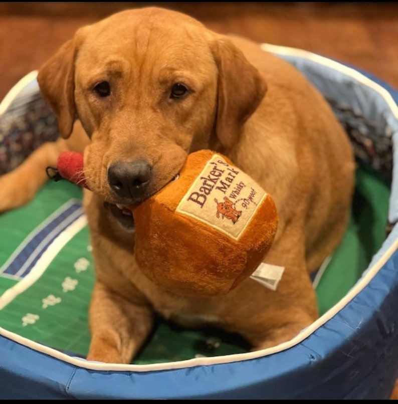 Virginia Tech Stadium Dog Bed - Etsy
