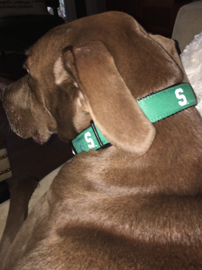 Michigan State University Dog Toy | Etsy