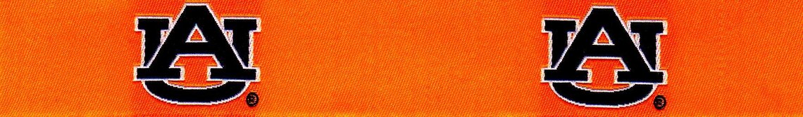 Auburn University Wrislet keychain with polka dot web. | Etsy