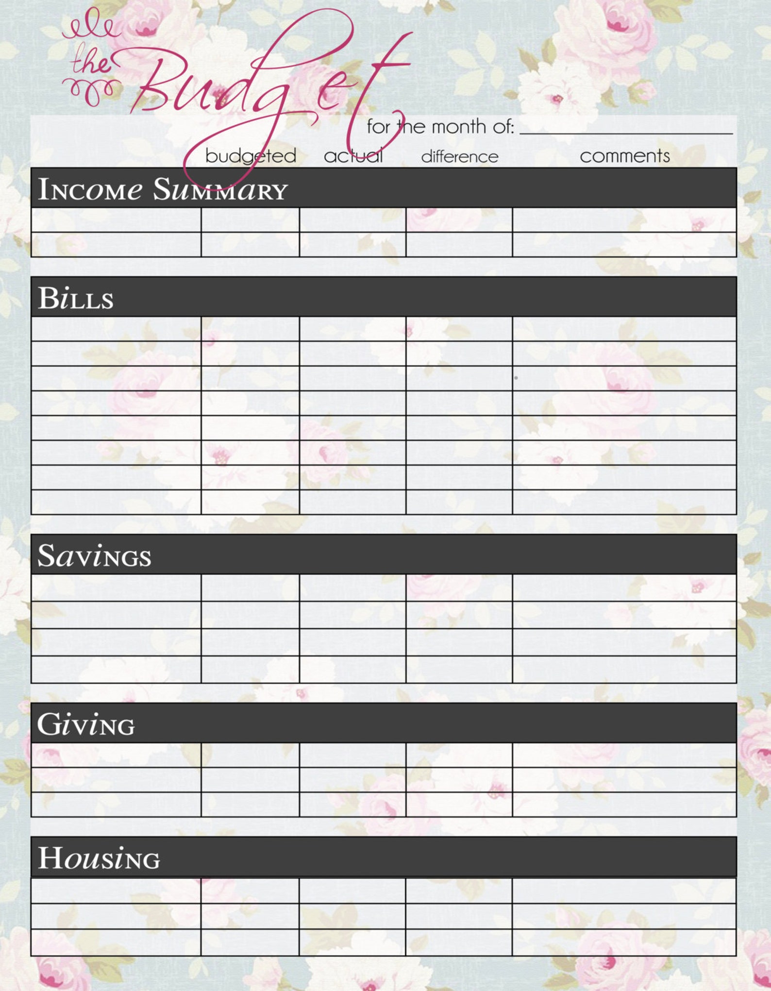 Financial Budget Planner / Organizer - Etsy