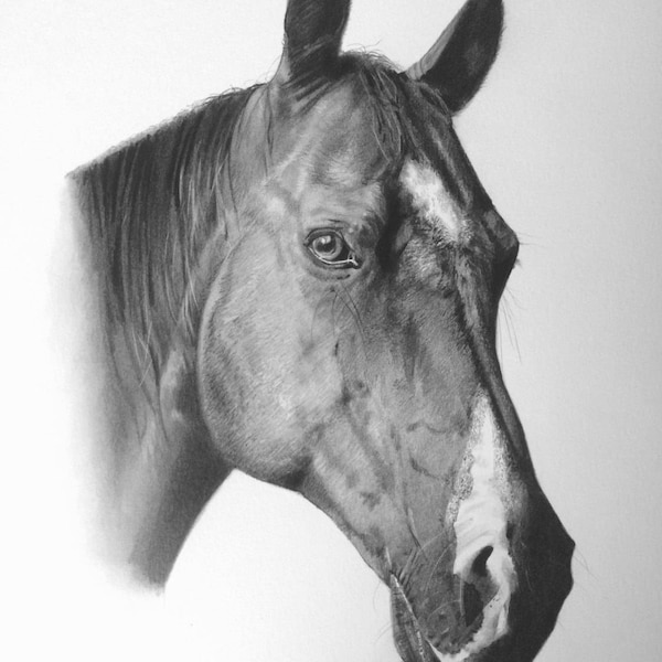 Horse Drawing - Etsy
