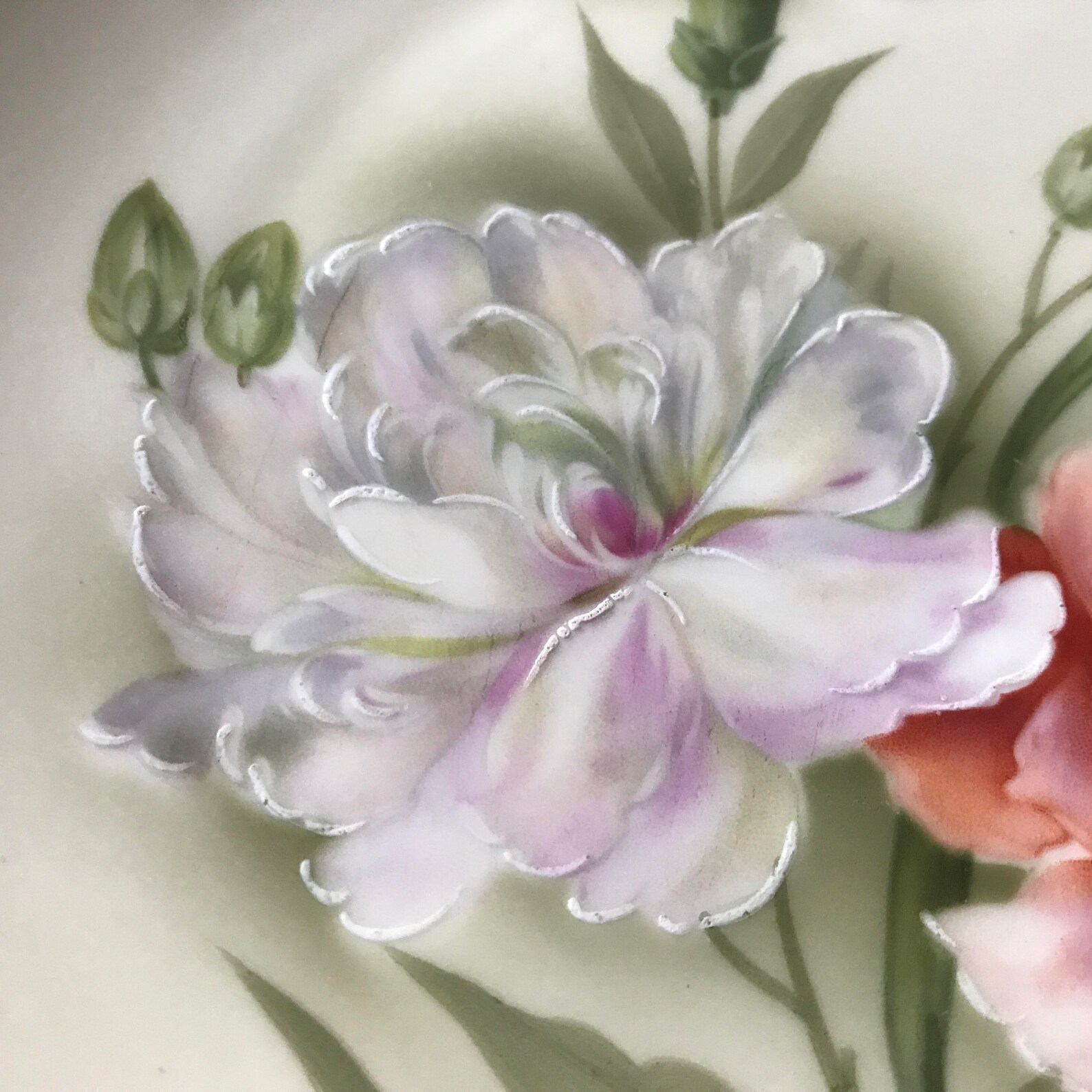 Beautiful Hand Painted Rose Plate Royal Munich Germany | Etsy