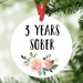 3 Years Sober Sobriety Gift Sober Gift Soberversary Sobriety Ornament ...