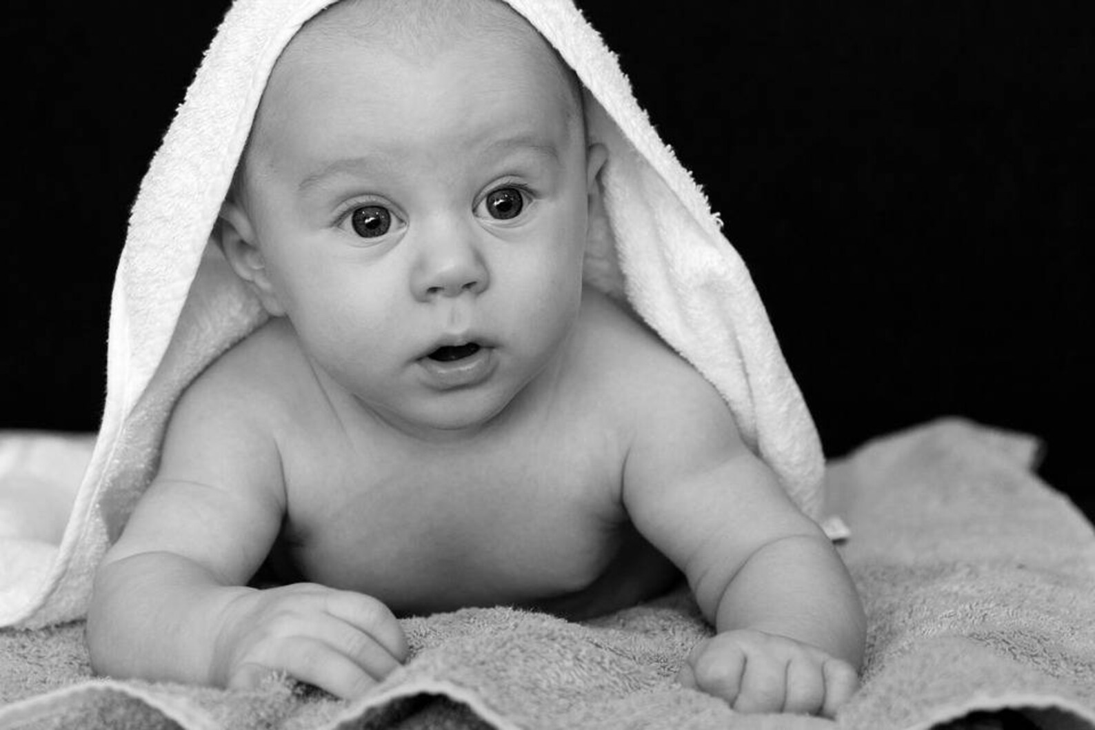 Forrest Milestone Baby Blanket - Trees Milestone Baby Blanket ...