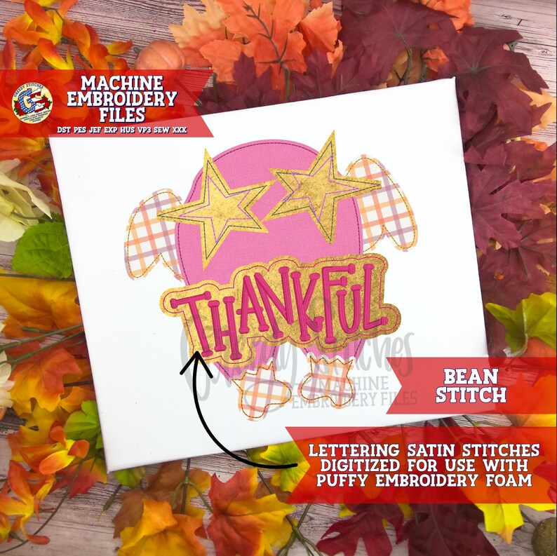 Thankful Turkey Bean Stitch Applique Machine Embroidery Design | Turkey ...