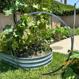 Custom Moon Arch Hoop – Metal Circle Arch for Garden, Wedding, Events ...