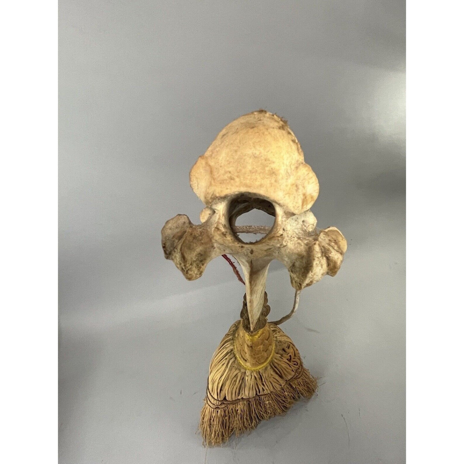 26” Vintage Hearth Broom Bone Handle Rustic Primitive Unique - Etsy