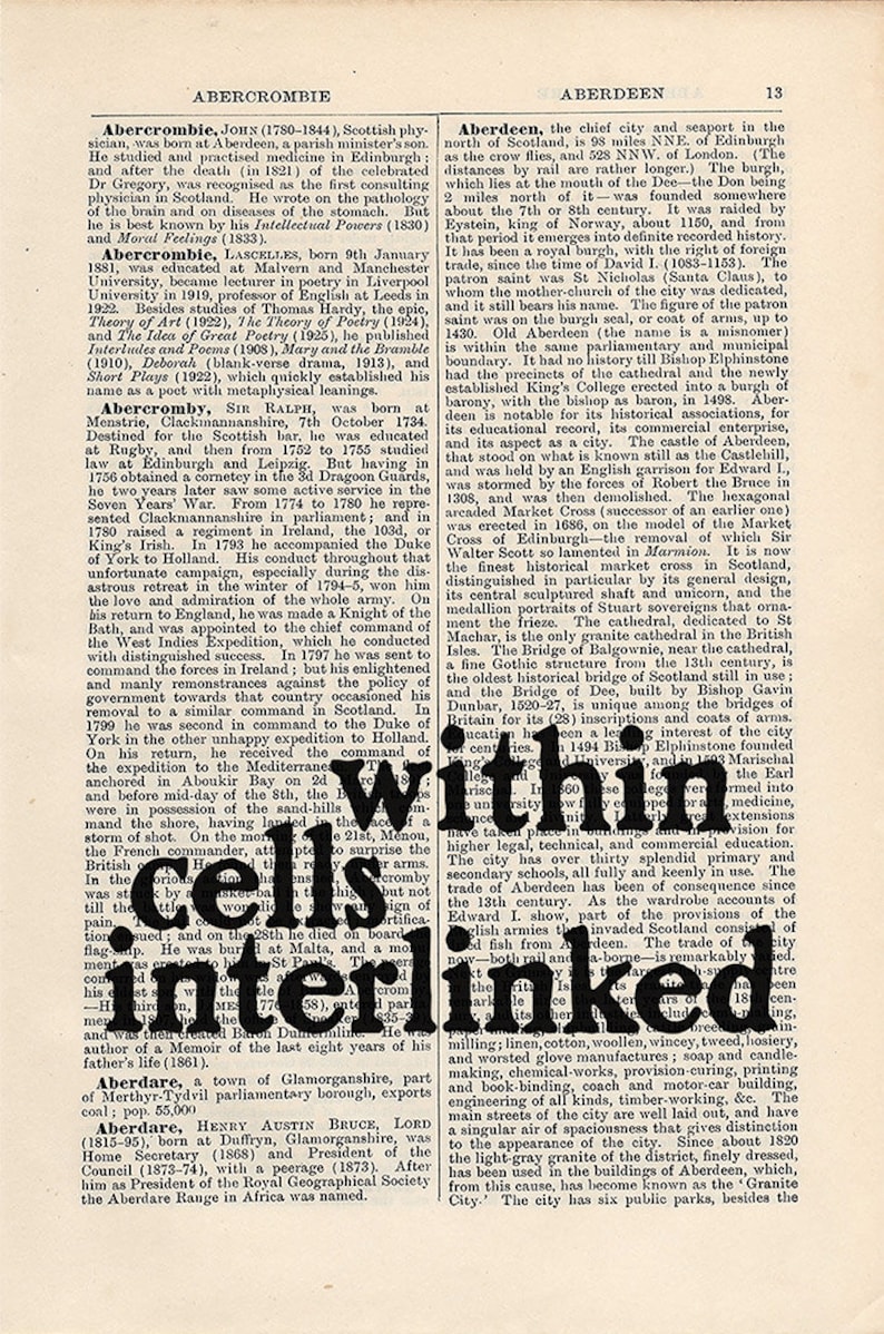 Within Cells Interlinked Quote on an Antique Page Vladimir | Etsy