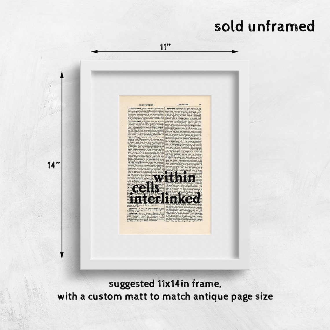 Within Cells Interlinked Quote on an Antique Page Vladimir | Etsy