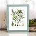 Antique Botanical Poster, Cannabis, Marijuana Medicinal, Botanical ...
