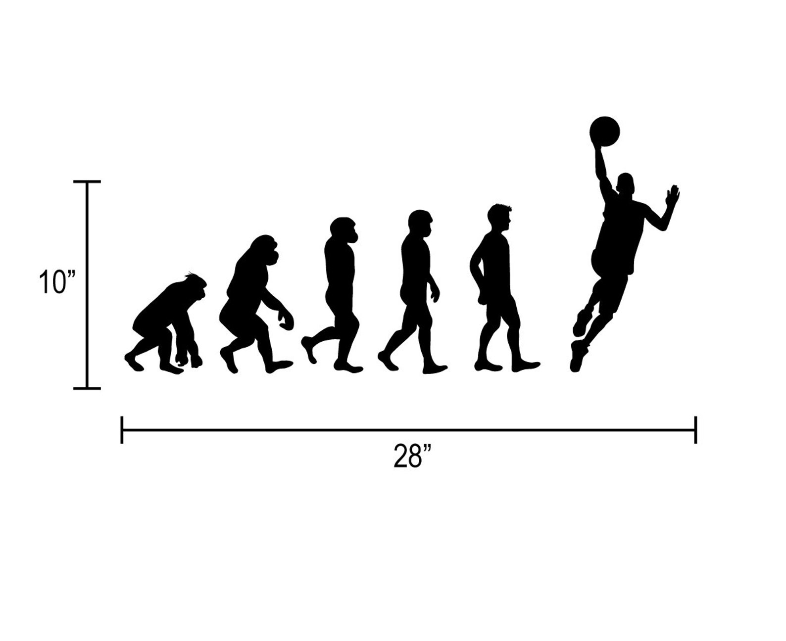 Basketball Evolution Custom Wall Decal Boys or Girls Rooms - Etsy