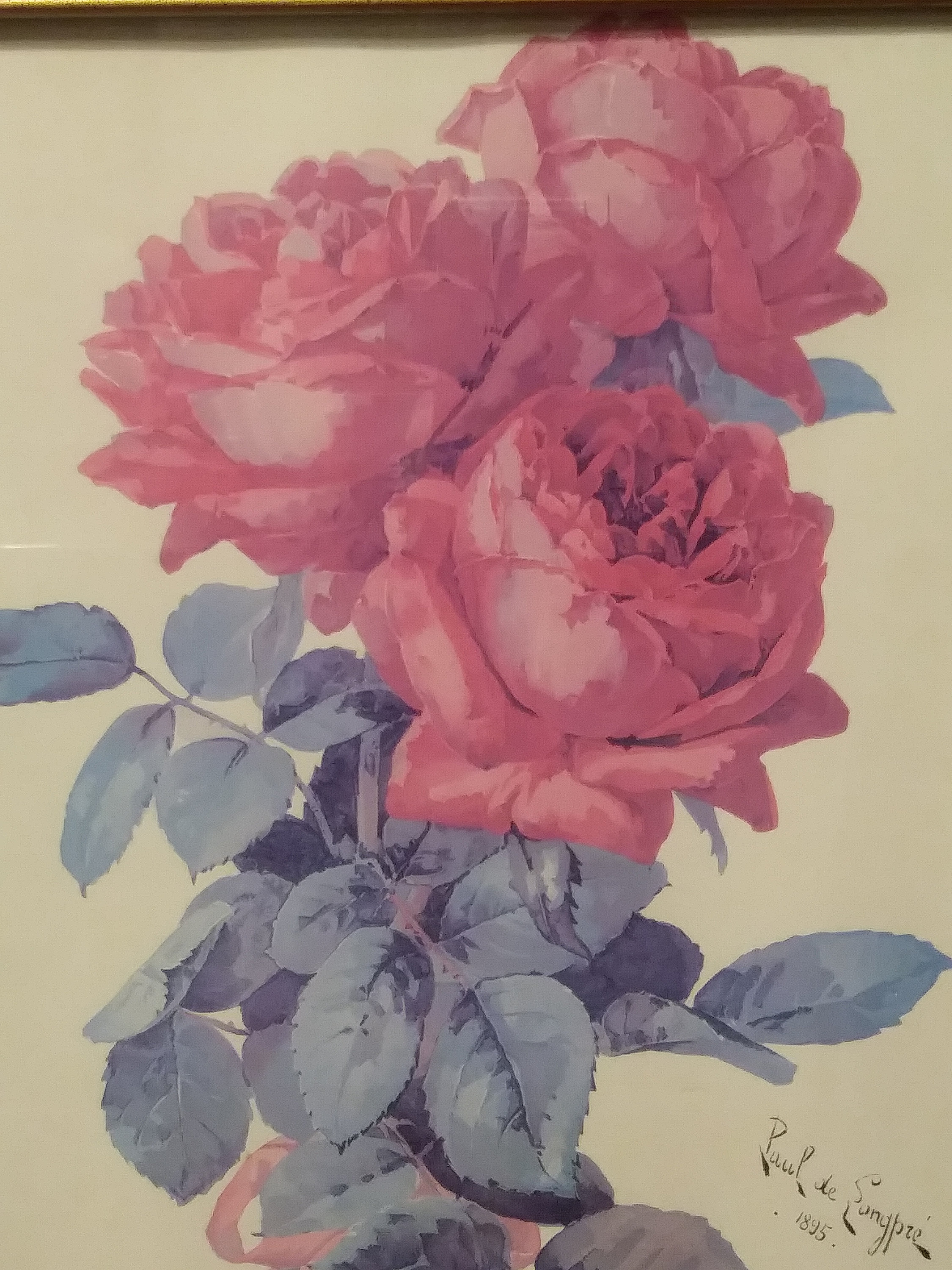 RARE Antique Paul De Longpre Signed Chromolithograph Pink Rose - Etsy