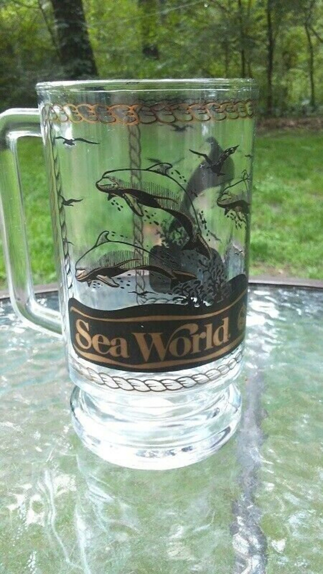 Vtg Sea World Amusement Theme Park Glass Beer Stein Mug 1980 Dolphin ...