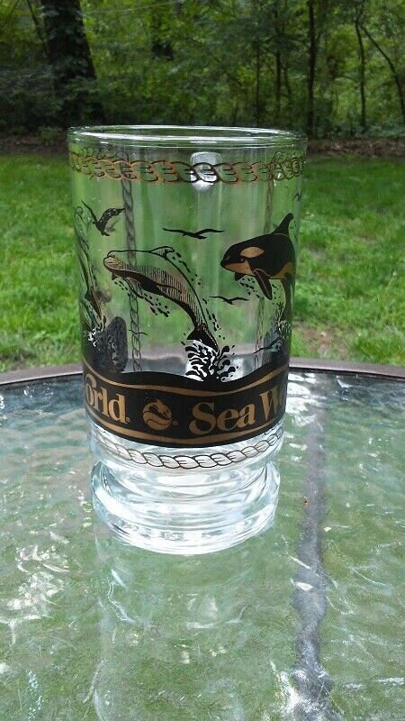 Vtg Sea World Amusement Theme Park Glass Beer Stein Mug 1980 Dolphin ...