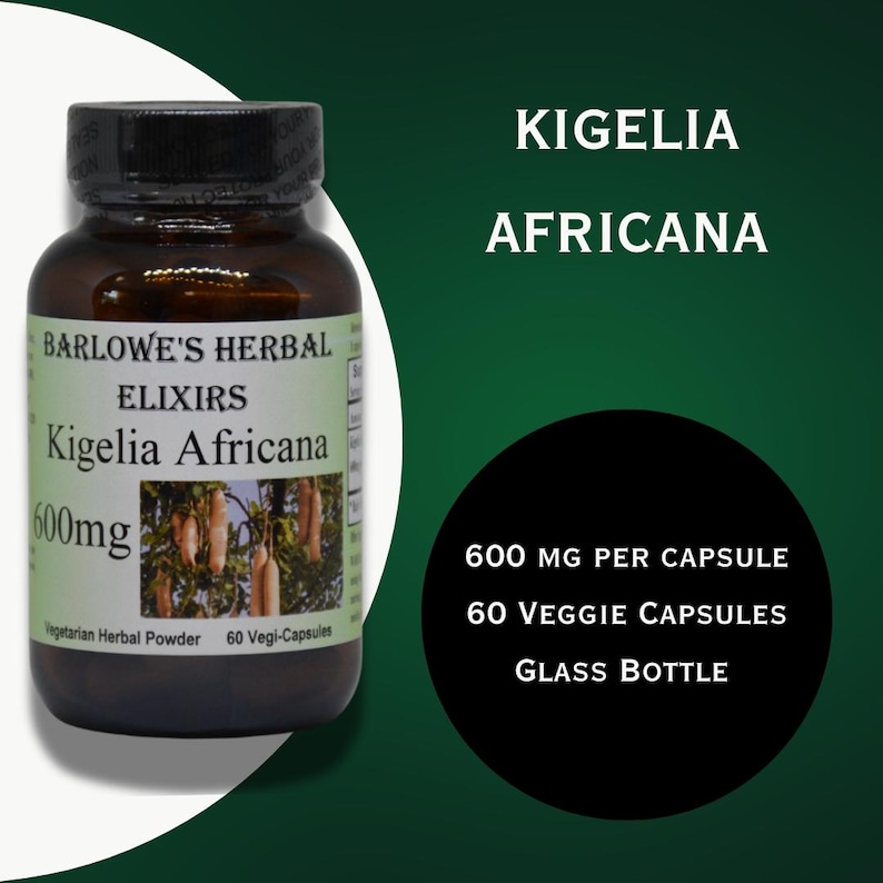 Kigelia Africana | 600mg | 60 Veggie Capsules | Glass Bottle | No ...