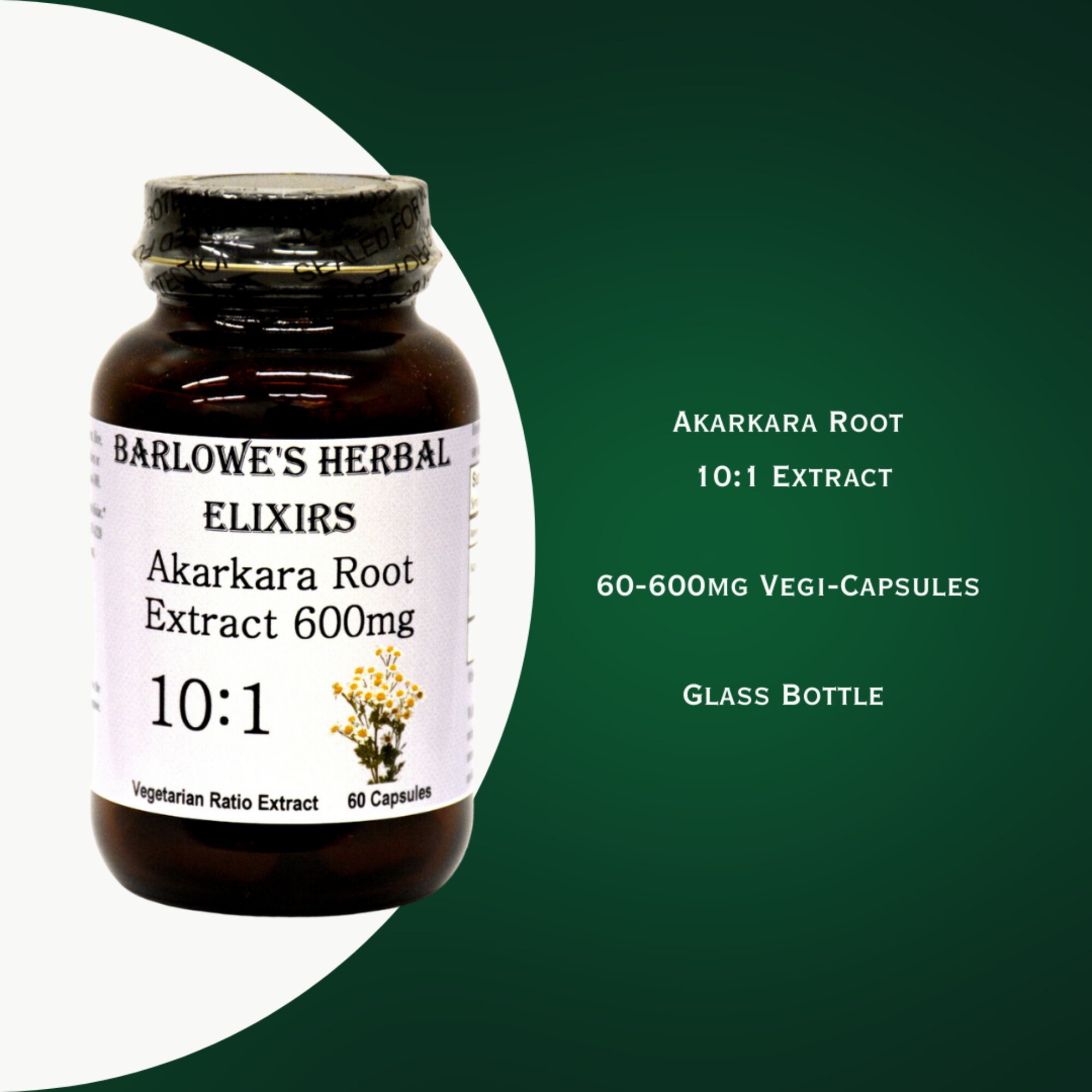 Akarkara 10:1 Extract anacyclus Pyrethrum 60-600mg Vegi-caps, Stearate ...