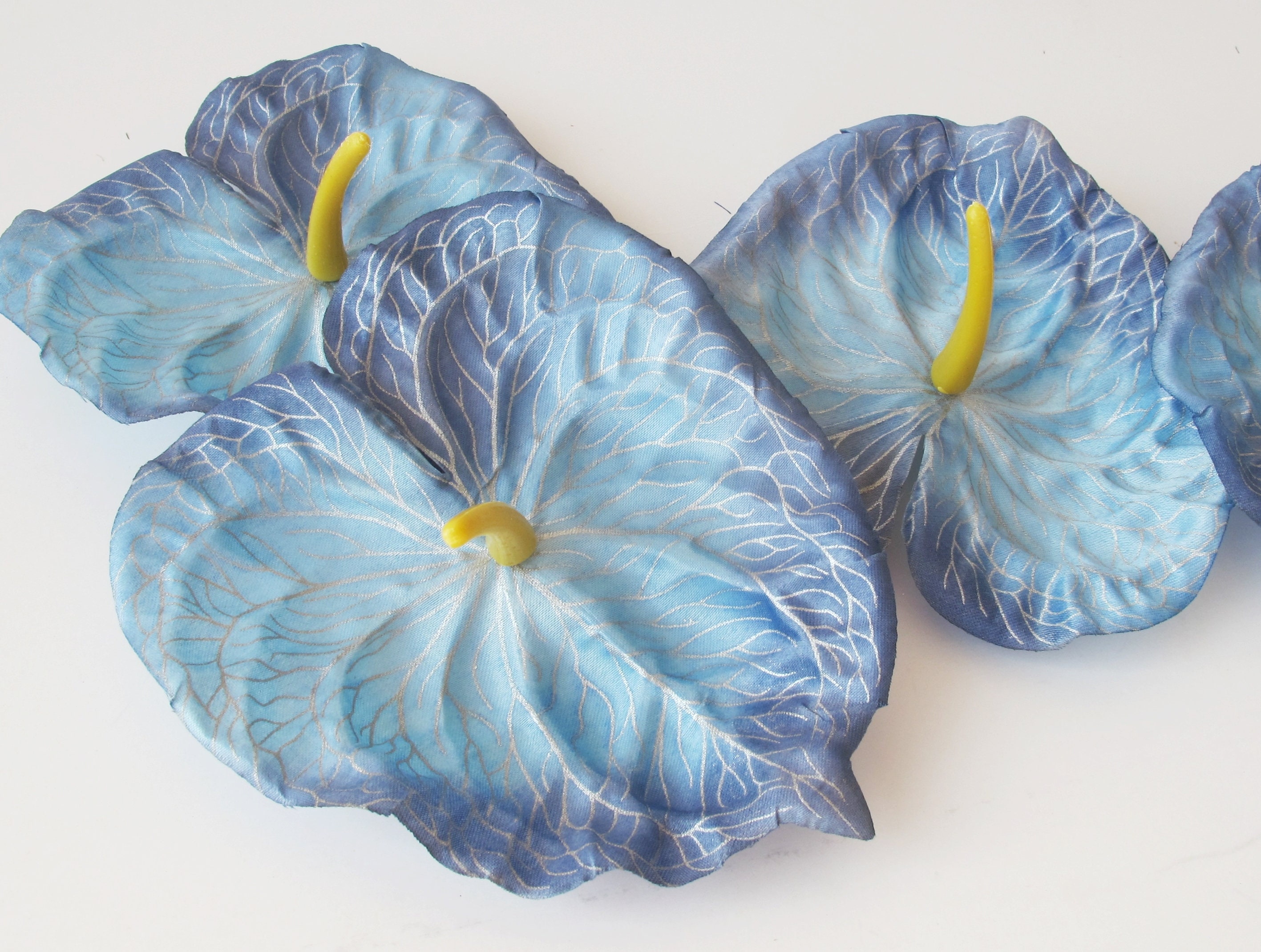 Blue Anthurium