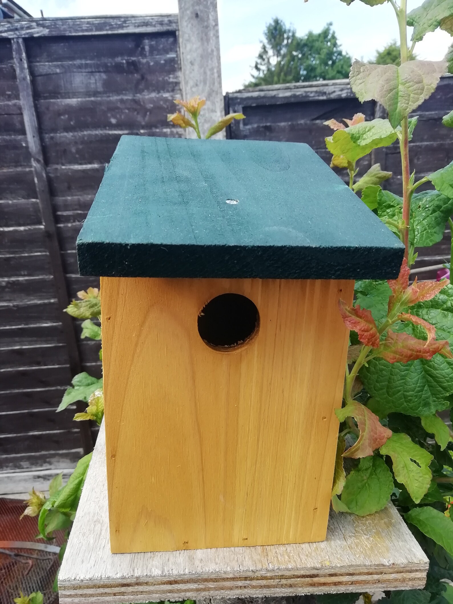 Personalised Wild Bird Nesting Box Father's Day Gift | Etsy