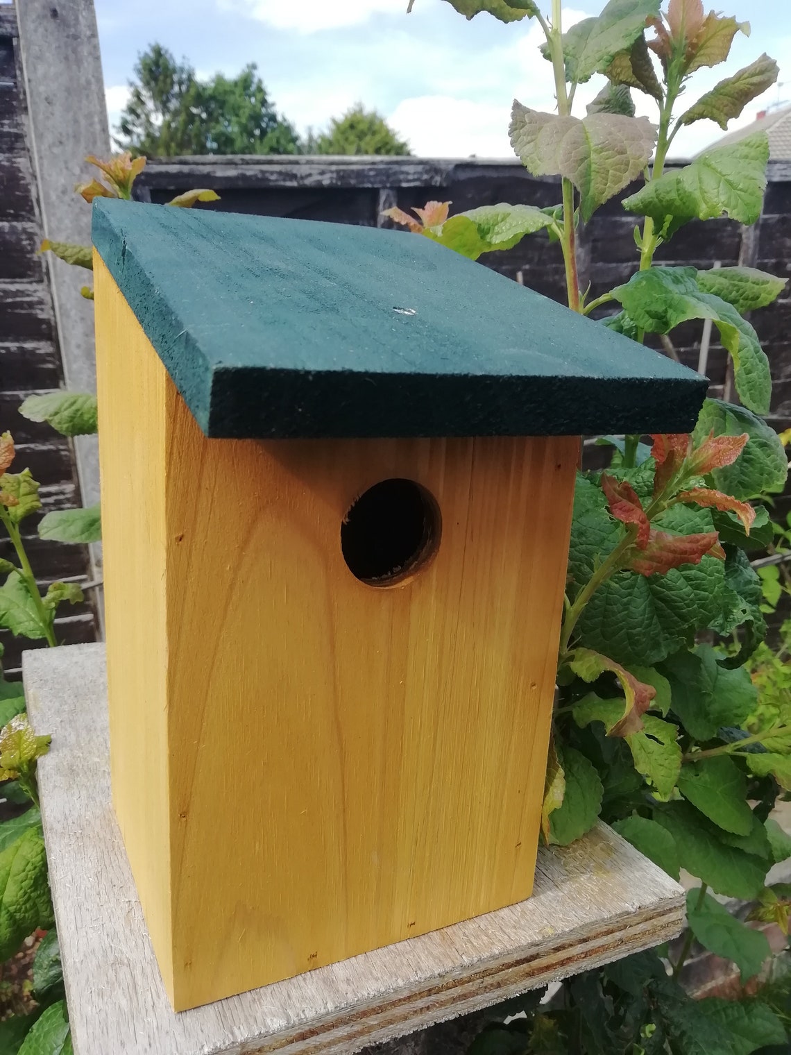 Personalised Wild Bird Nesting Box Father's Day Gift | Etsy