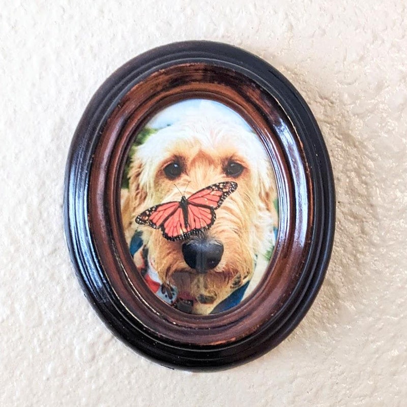 Oval Picture Frame - Etsy