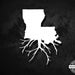 Idaho Roots Design PNG, SVG, JPG Digital Download / Idaho, Idaho State ...