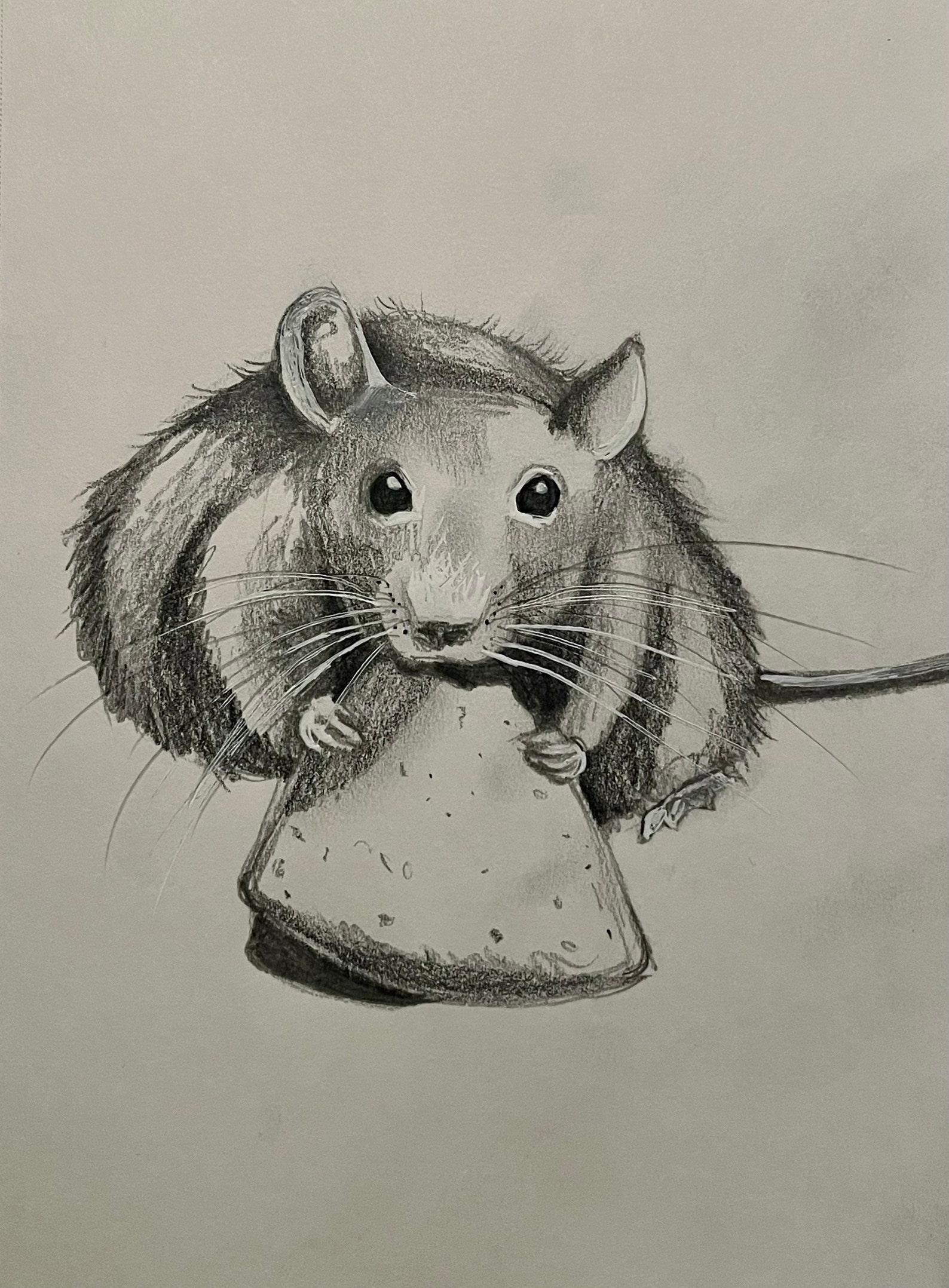 Monchin Mouse - Etsy