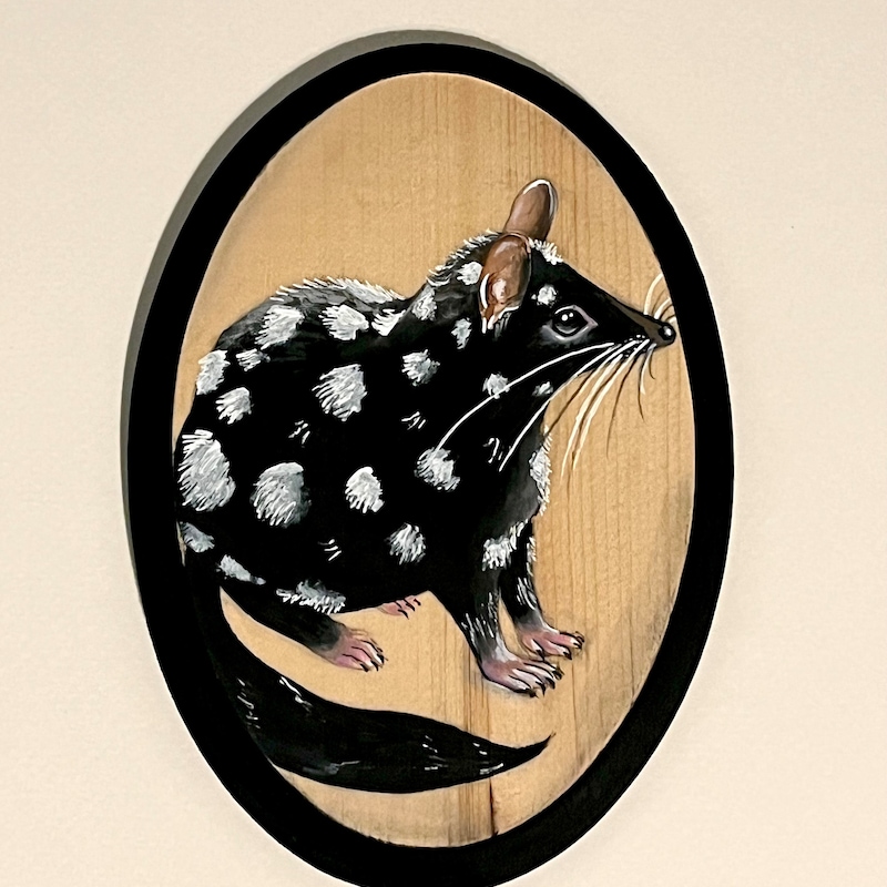 Quoll - Etsy