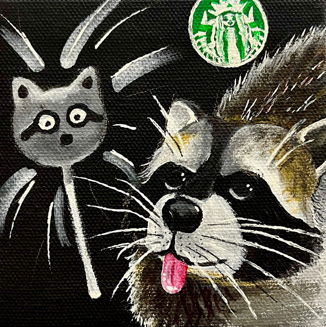 Coon With a Cake Pop - Etsy