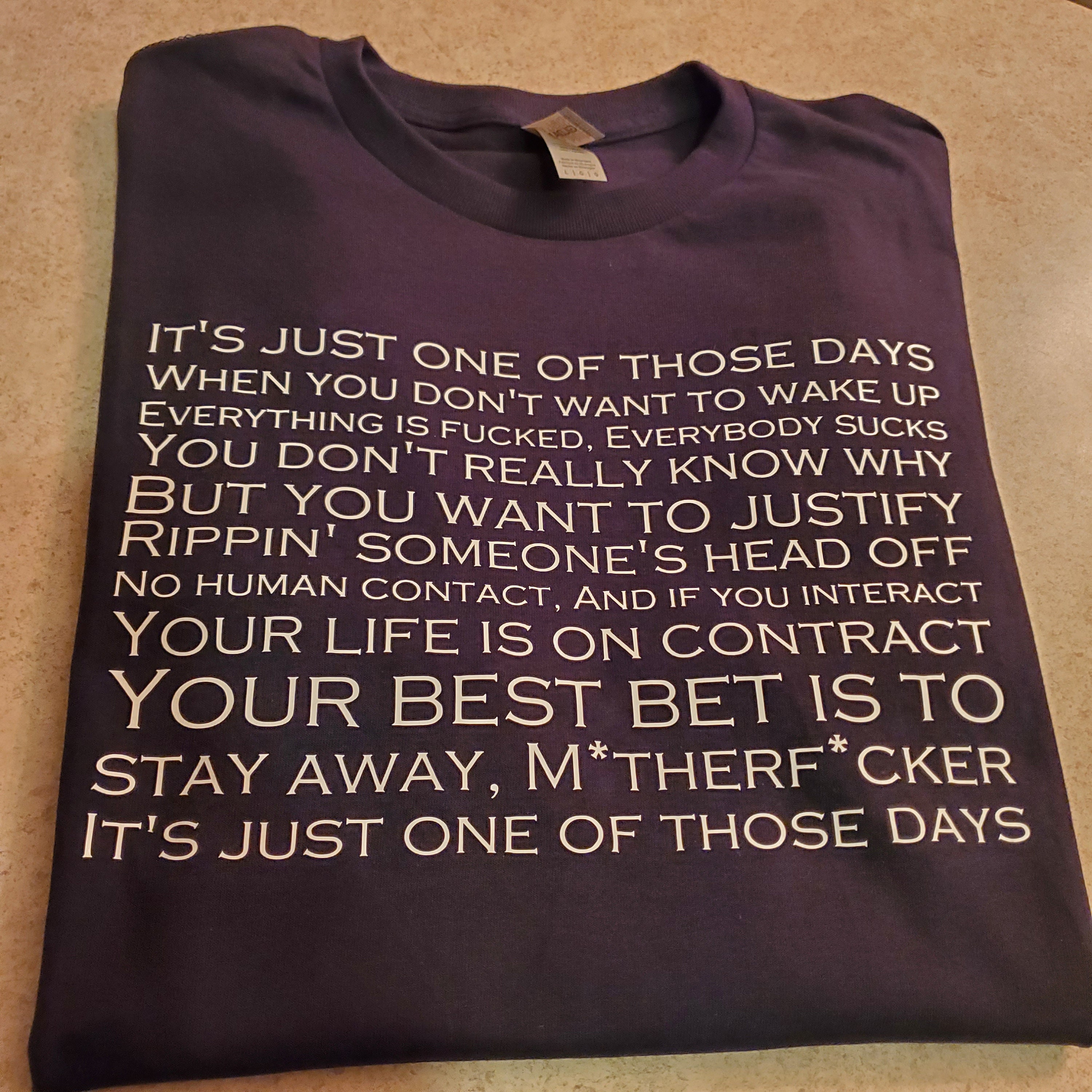 Limp Bizkit Tshirt or Hoodie, It's Just One of Those Days Shirt or ...