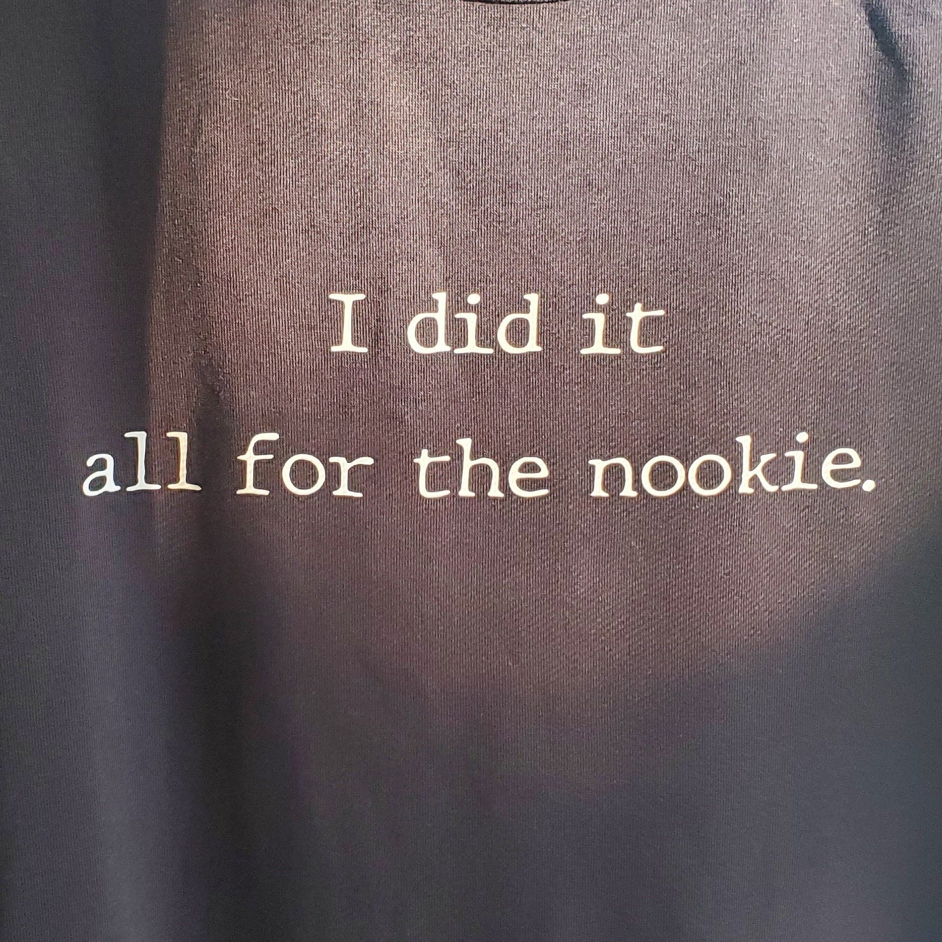 Limp Bizkit Tshirt or Hoodie, I Did It All for the Nookie, Shirt or ...