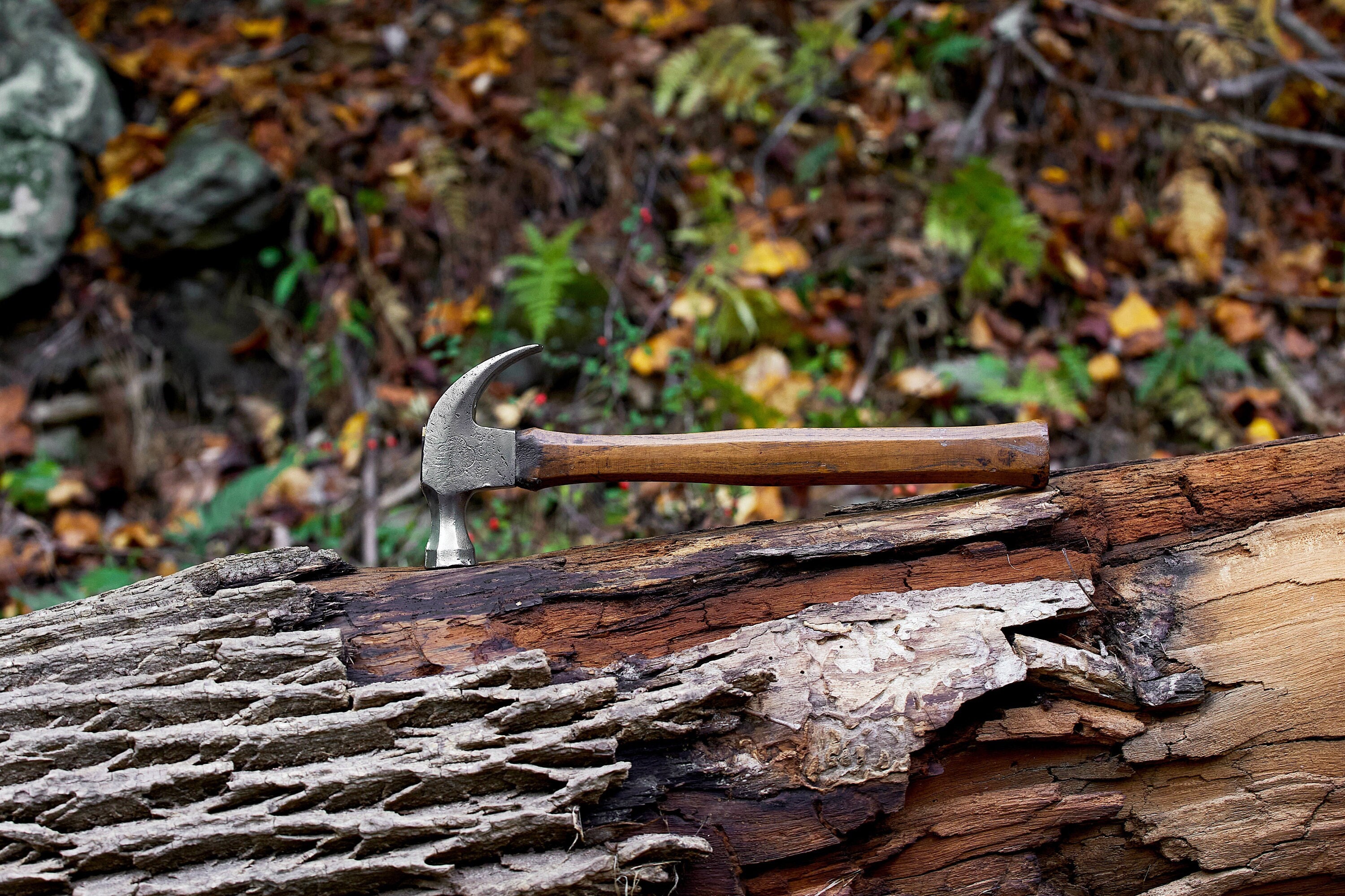 Vintage Belknap Bluegrass Claw Hammer