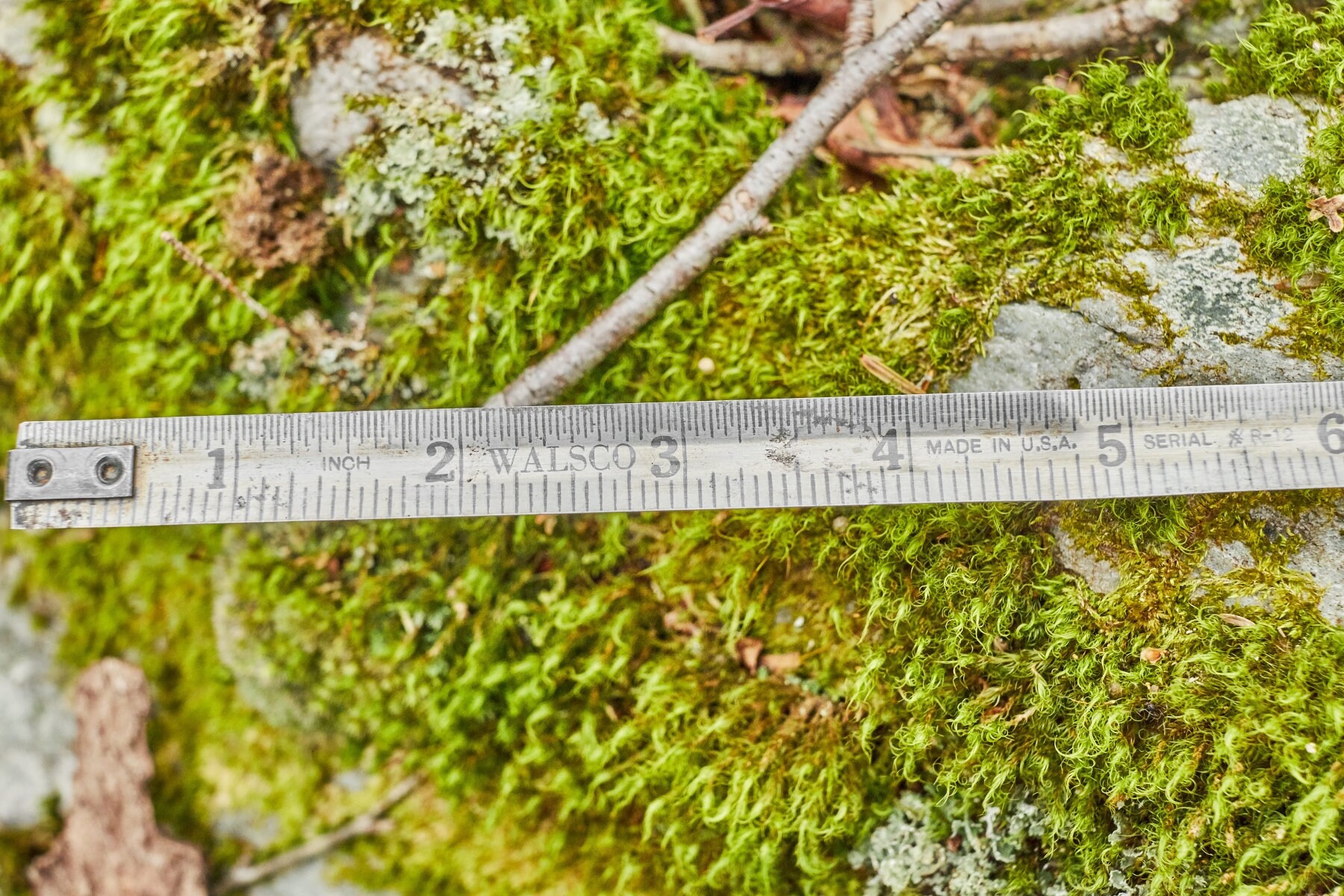 Mechanics Pal Tape measure