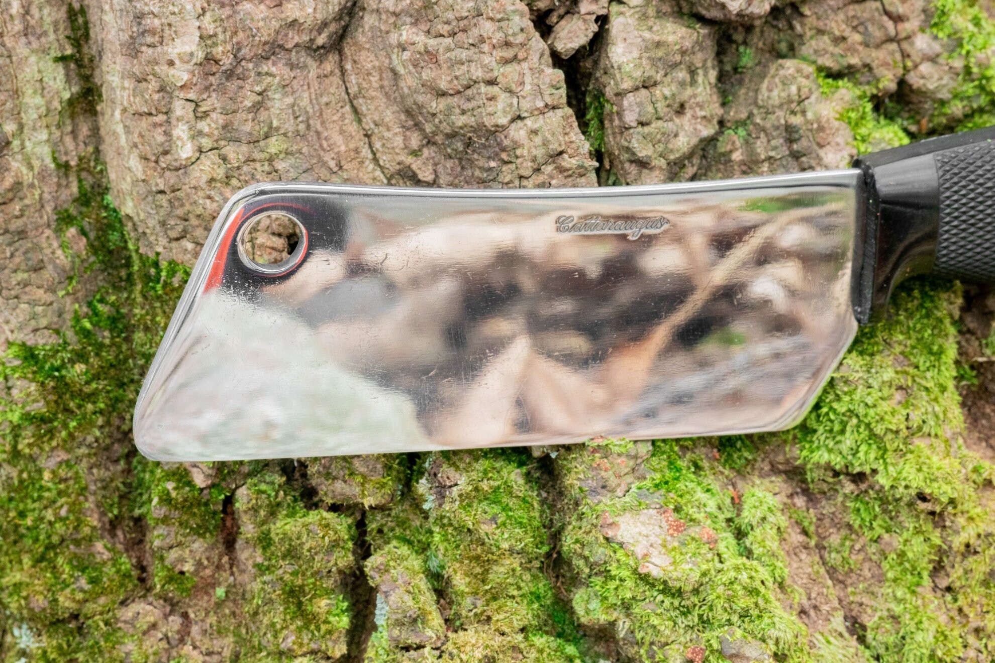 Cattaraugus Cleaver