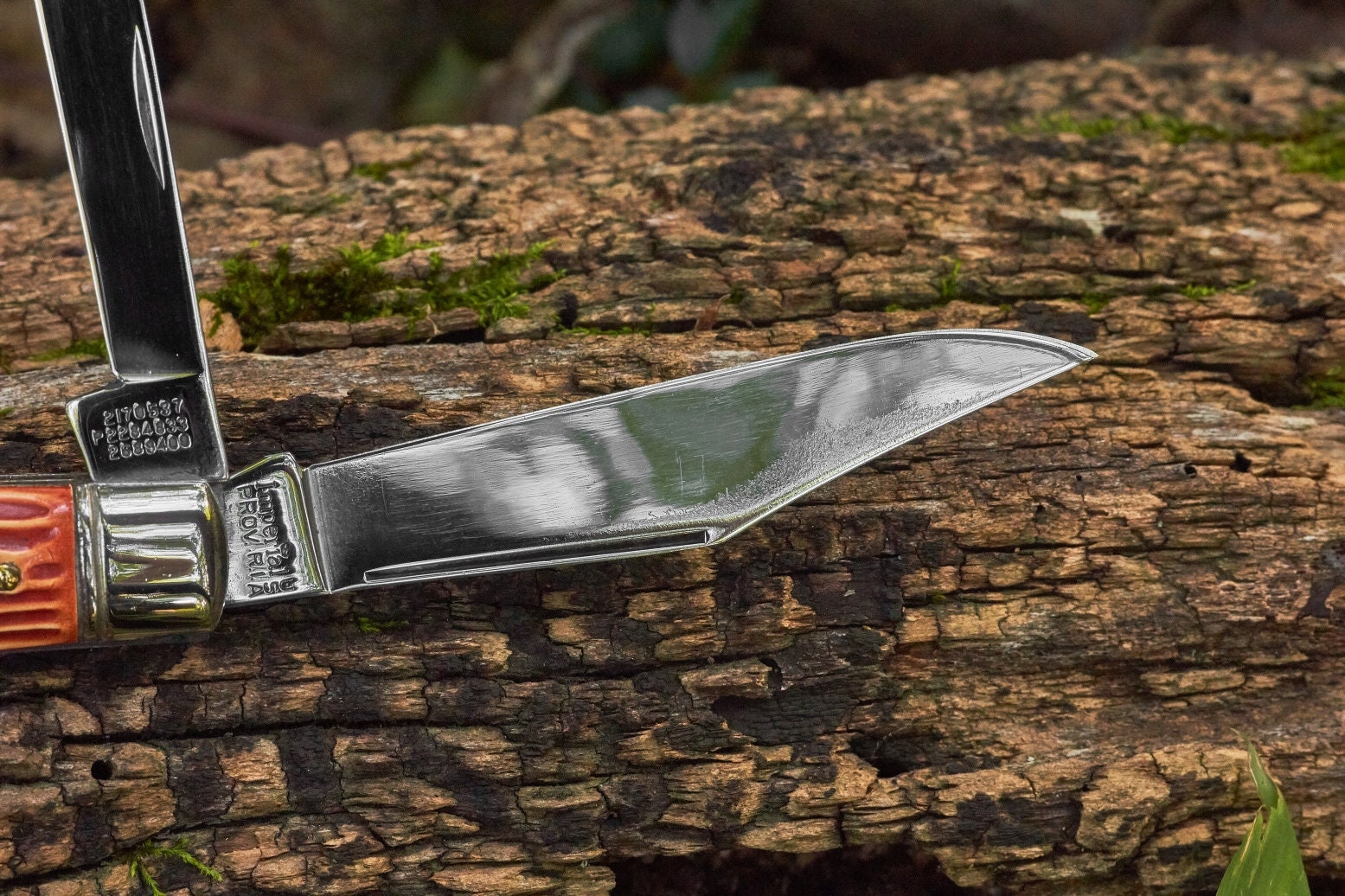 Vintage Imperial pocket knife with original box