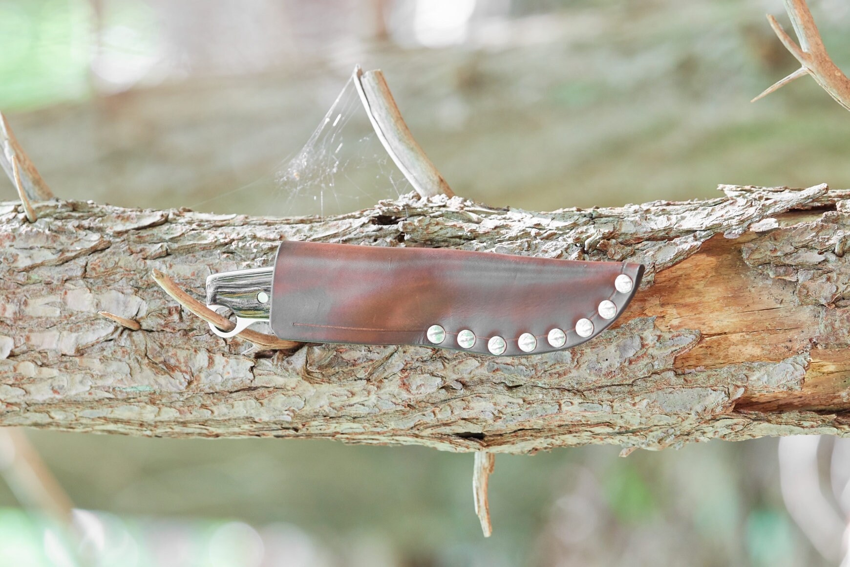 Buck 403 Fixed Blade knife with custom leather sheath