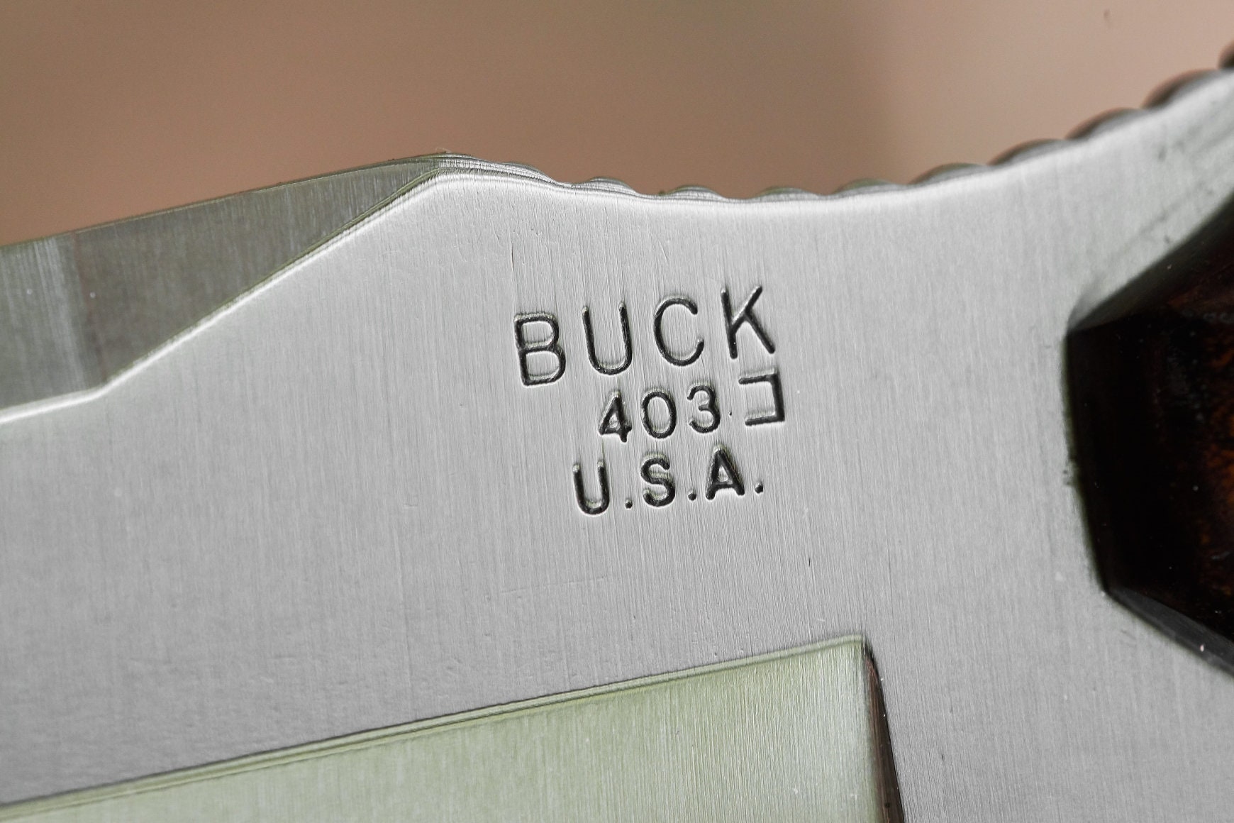 Buck 403 Fixed Blade knife with custom leather sheath