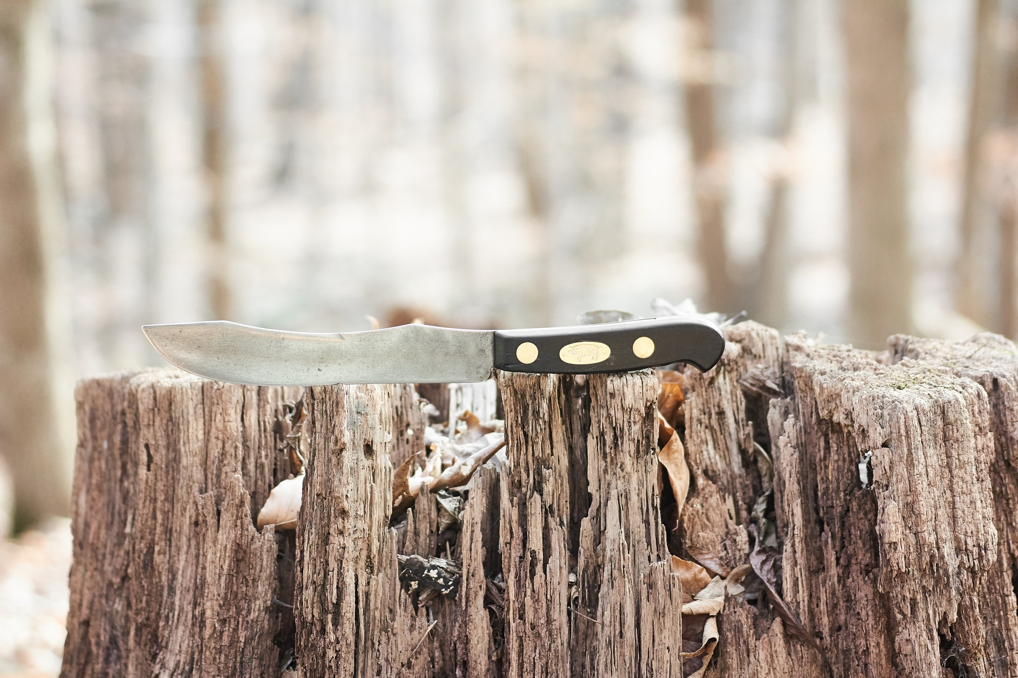 Vintage Robeson butcher knife Pig knife